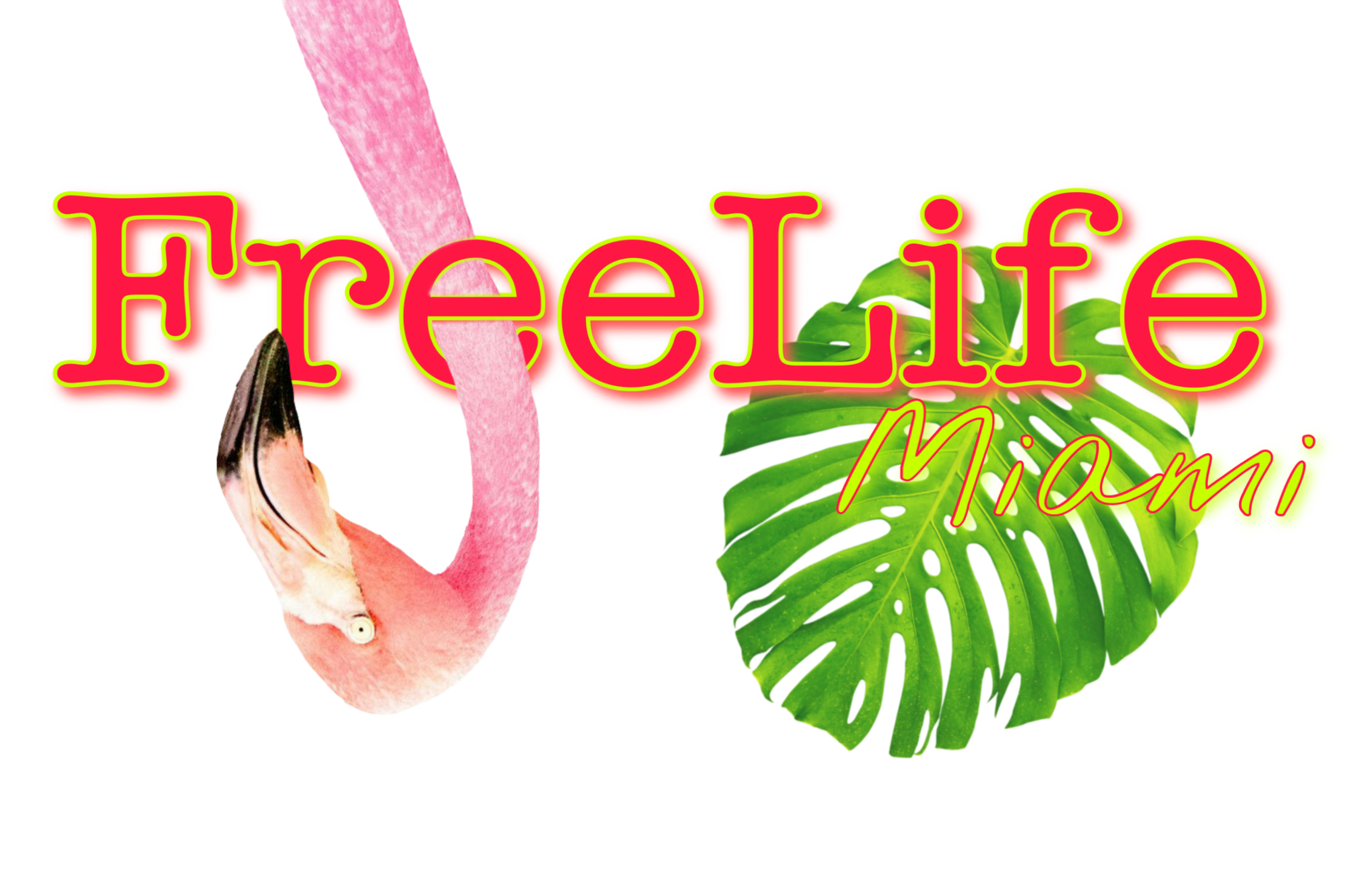 FreeLife Miami – Freelife Miami